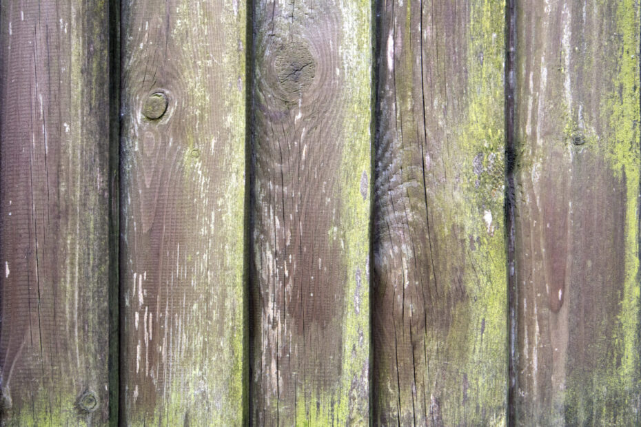 How to Clean a Wood Deck Without a Pressure Washer - Trex RainEscape
